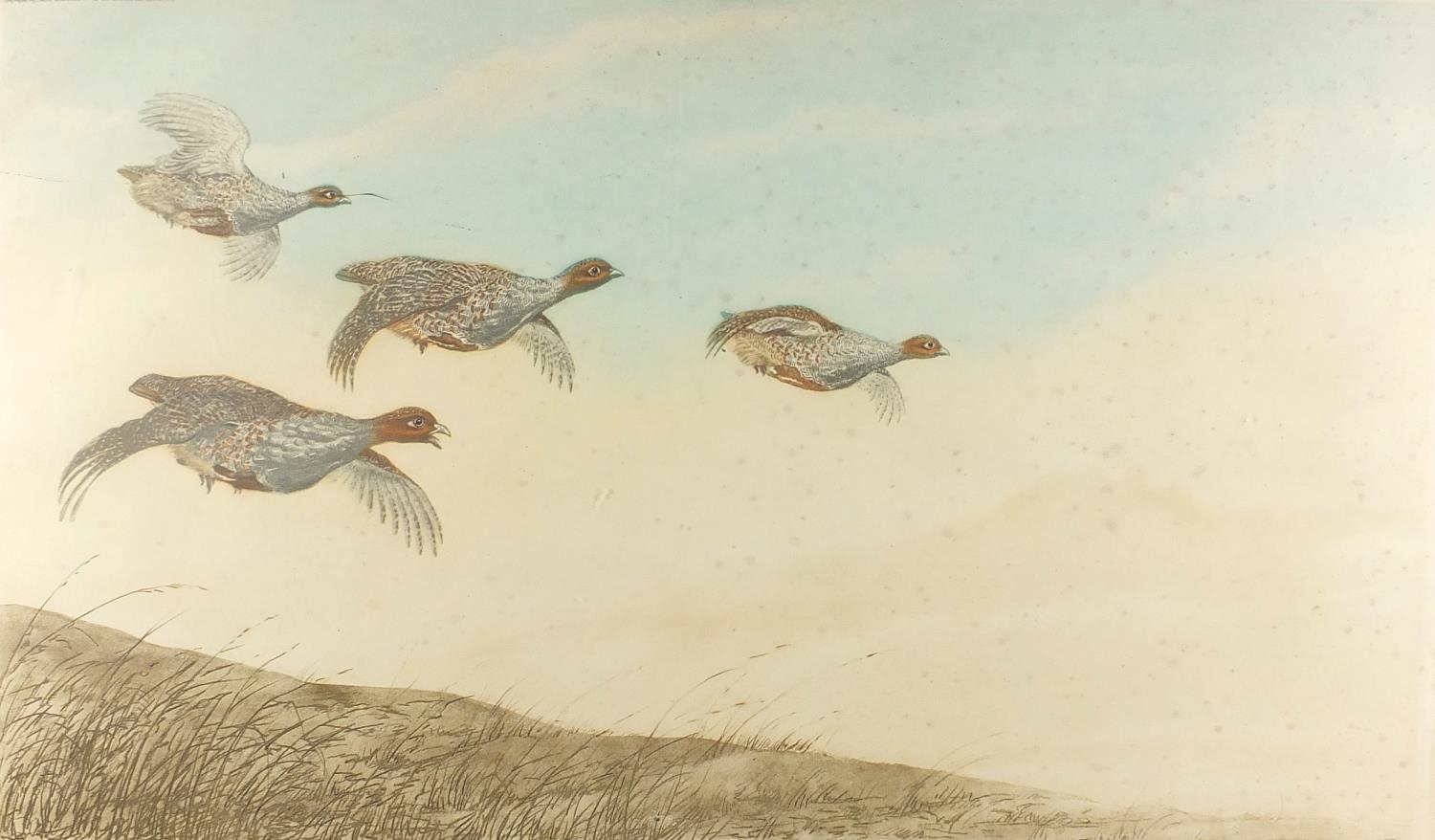 Leon Danchin | Leon Danchin signed coloured etching | MutualArt