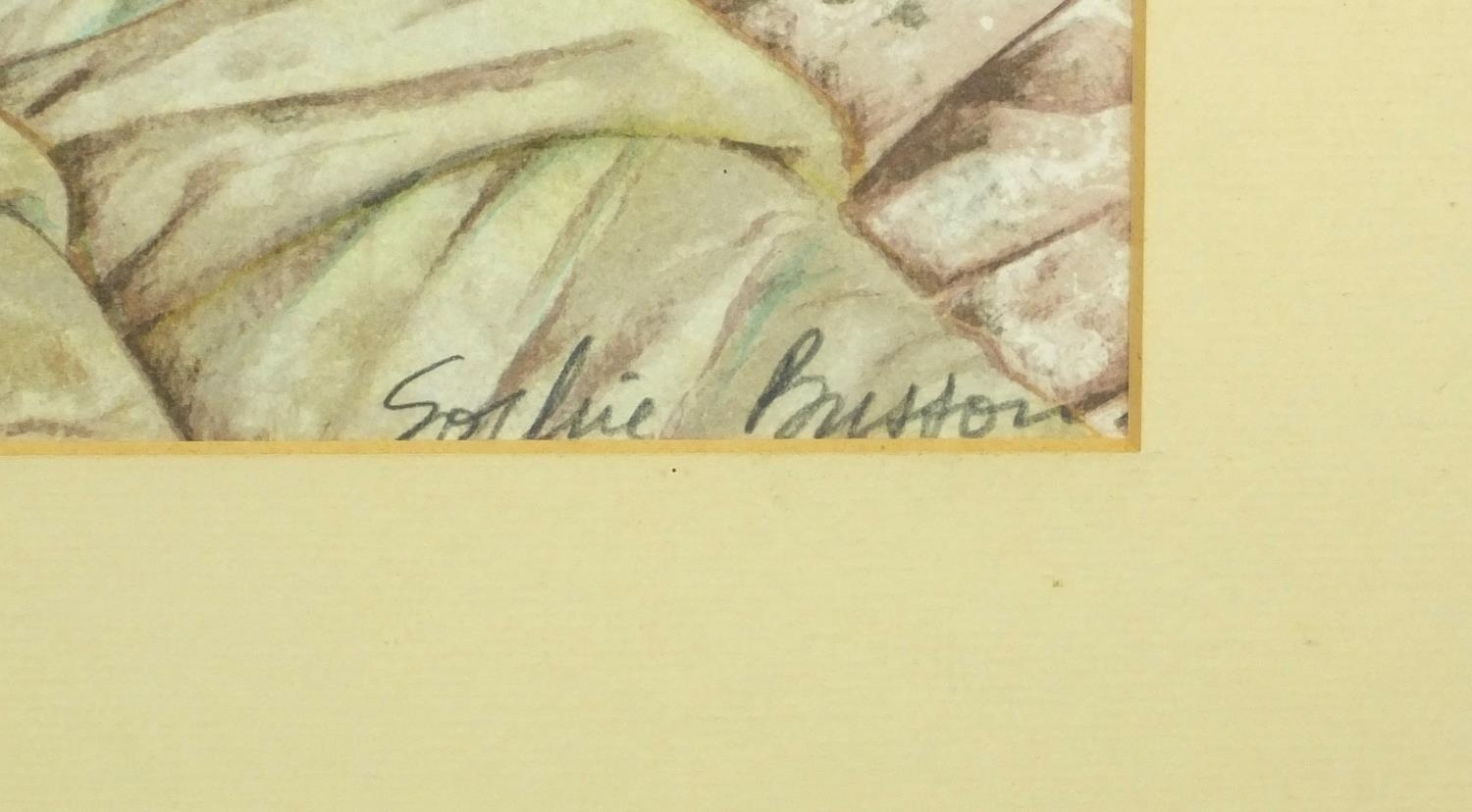 Sophie Busson | Sophie Busson - Watercolour | MutualArt