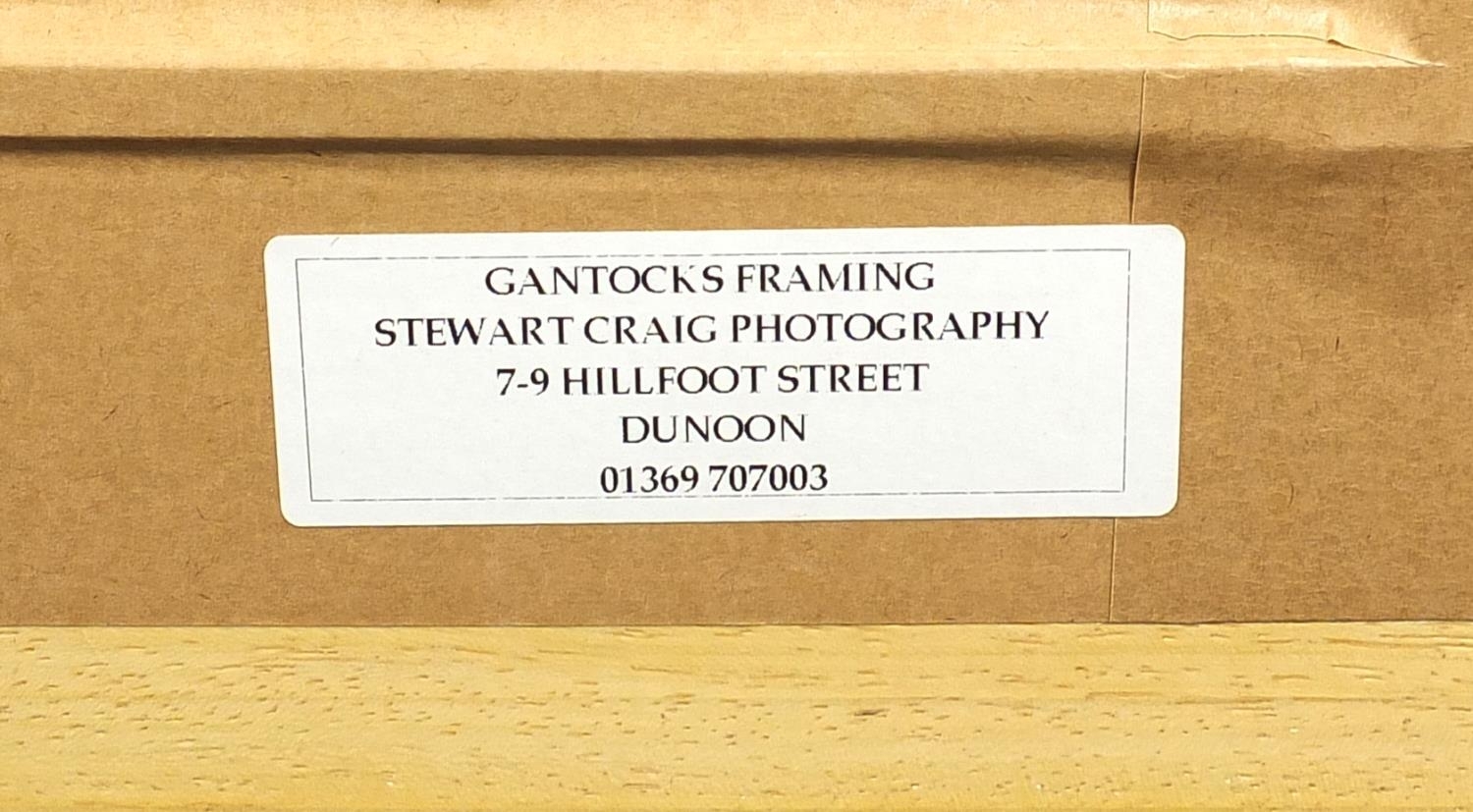 Charles Shiels | Charles Shiels - Summer bus | MutualArt