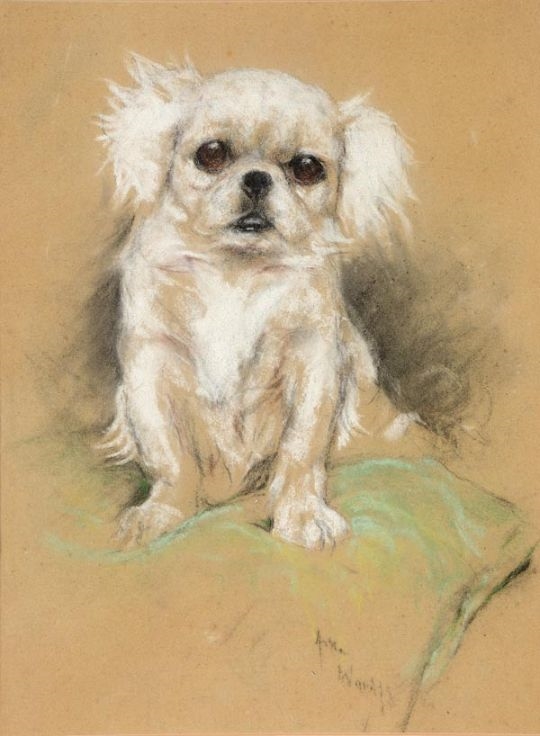 Arthur Wardle | Arthur Wardle (1864-1949) Study of Chihuahua. Pastel ...