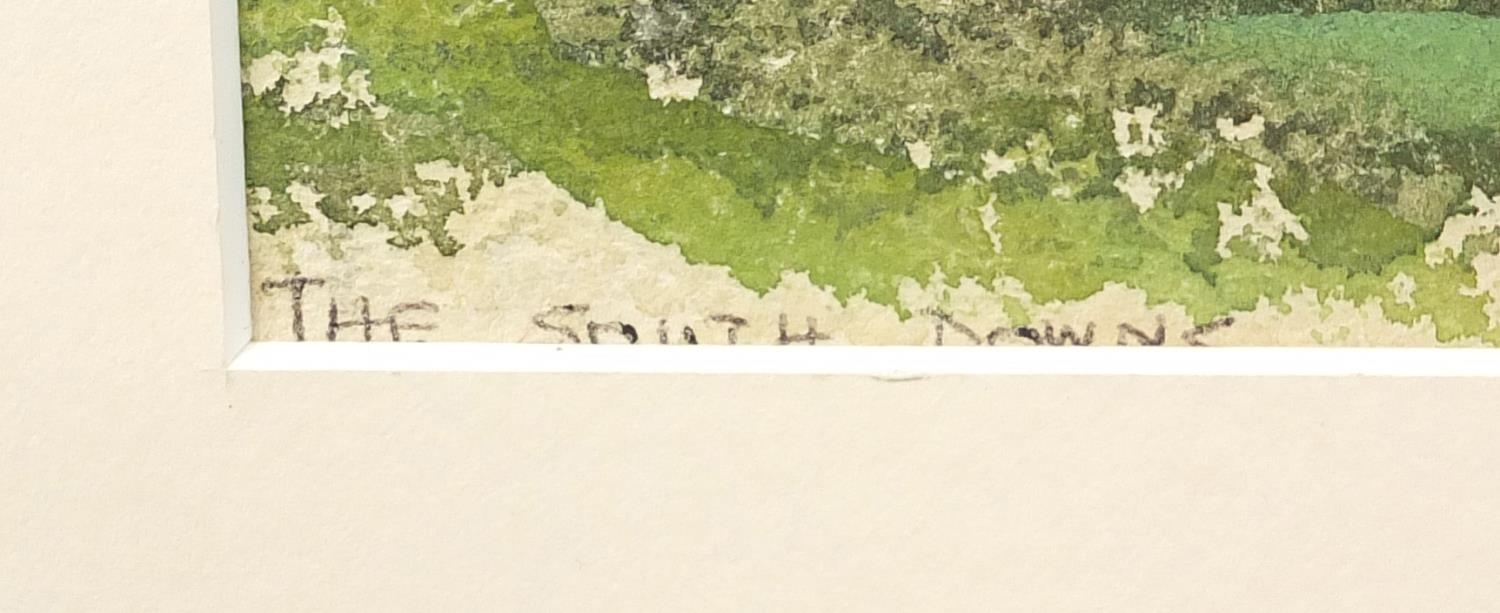 Charles Knight | Charles Knight - The South Downs | MutualArt