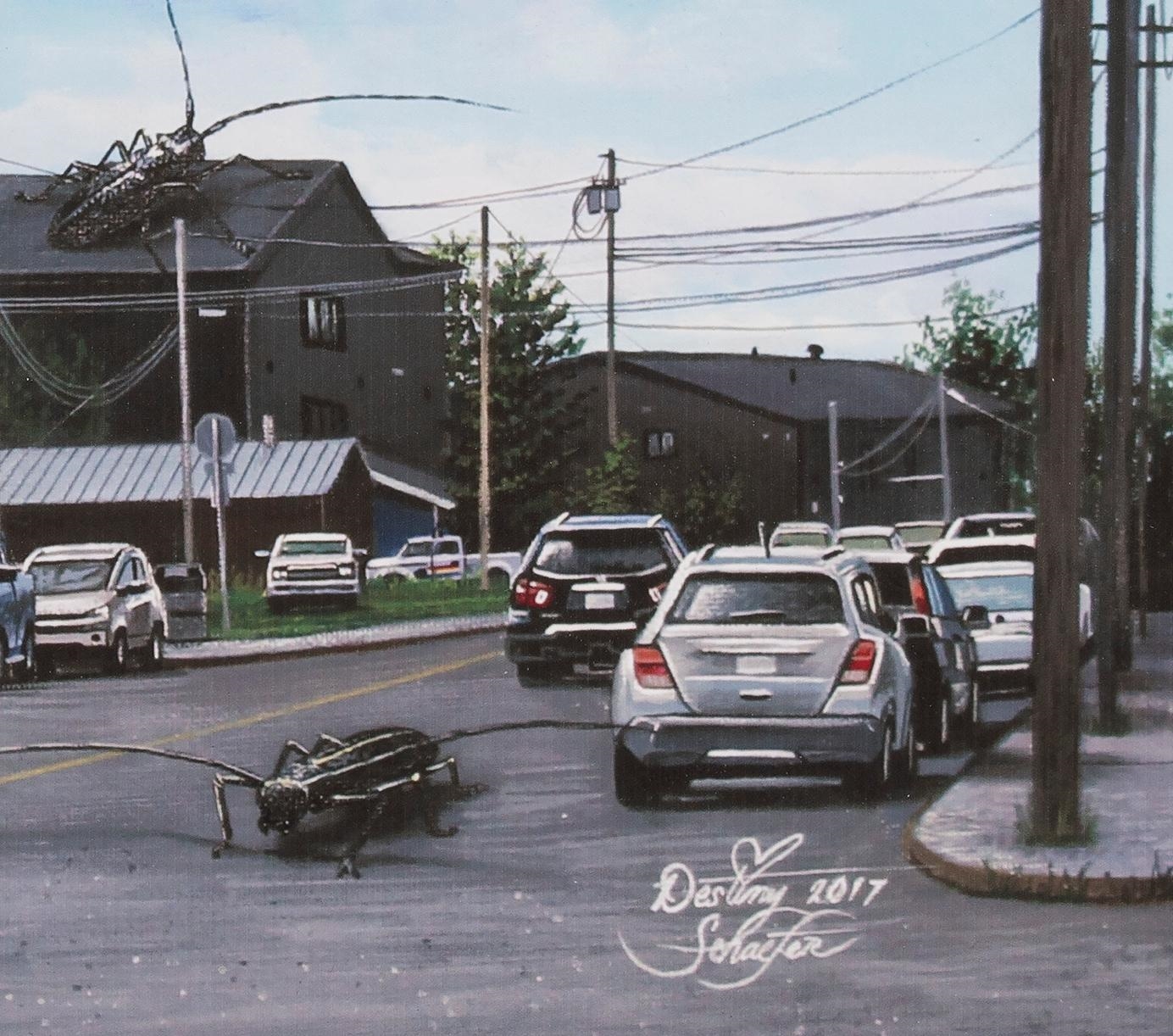 Destiny Schafer | Untitled - Spruce Beetles | MutualArt