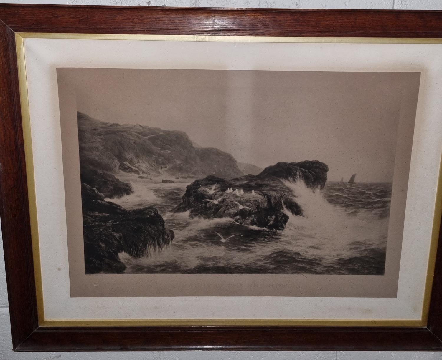 Peter Graham | '' Haunt of the sea mew '' | MutualArt