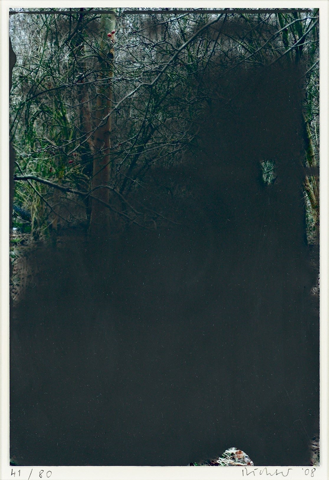 Gerhard Richter | ”WALD II”. (2008) | MutualArt