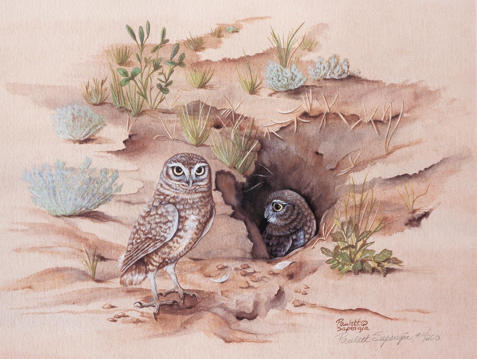 Paulett Sapergia | Losing Ground - Burrowing Owls | MutualArt