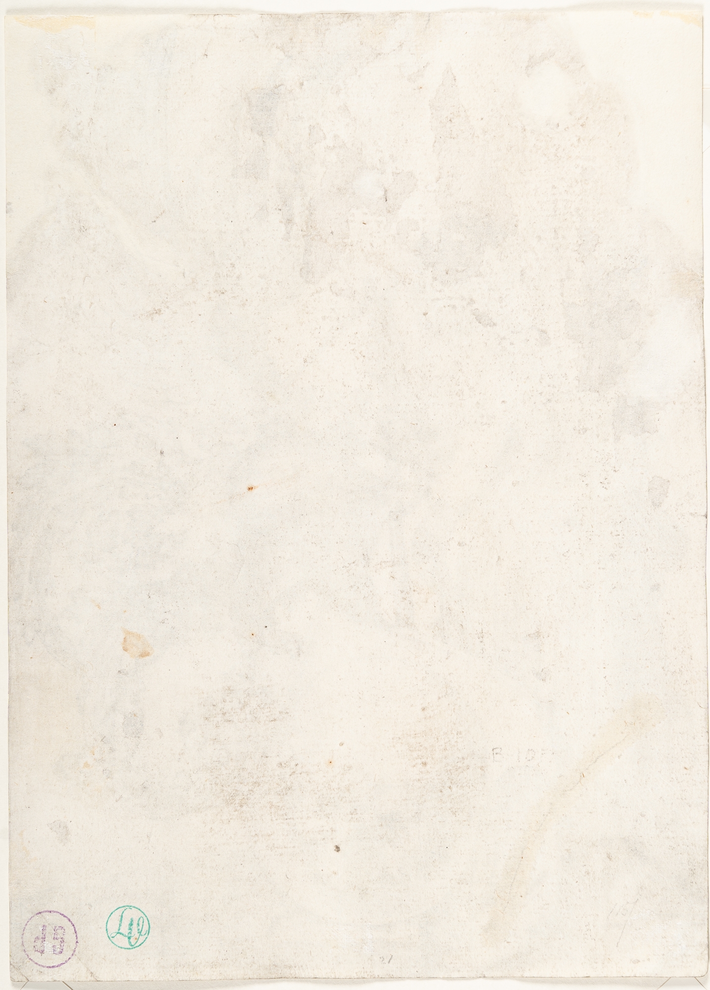 Albrecht Dürer | Coat of arms with a skull (1503) | MutualArt