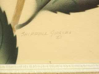 Shirrell Graves | Signed Shirrell Graves | MutualArt