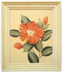Shirrell Graves | Signed Shirrell Graves | MutualArt