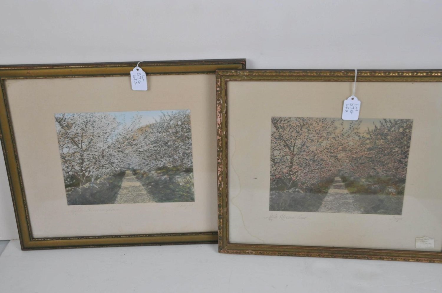 Charles Henry Sawyer | APPLE BLOSSOM | MutualArt