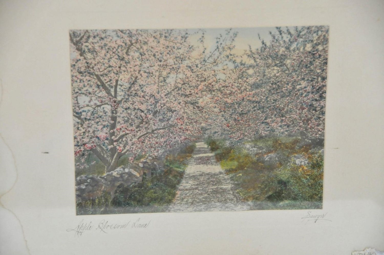 Charles Henry Sawyer | APPLE BLOSSOM | MutualArt