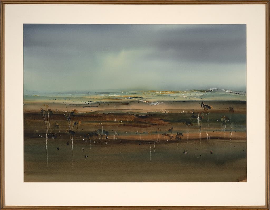 Geoffrey Dyer | Tasmanian Landscape | MutualArt