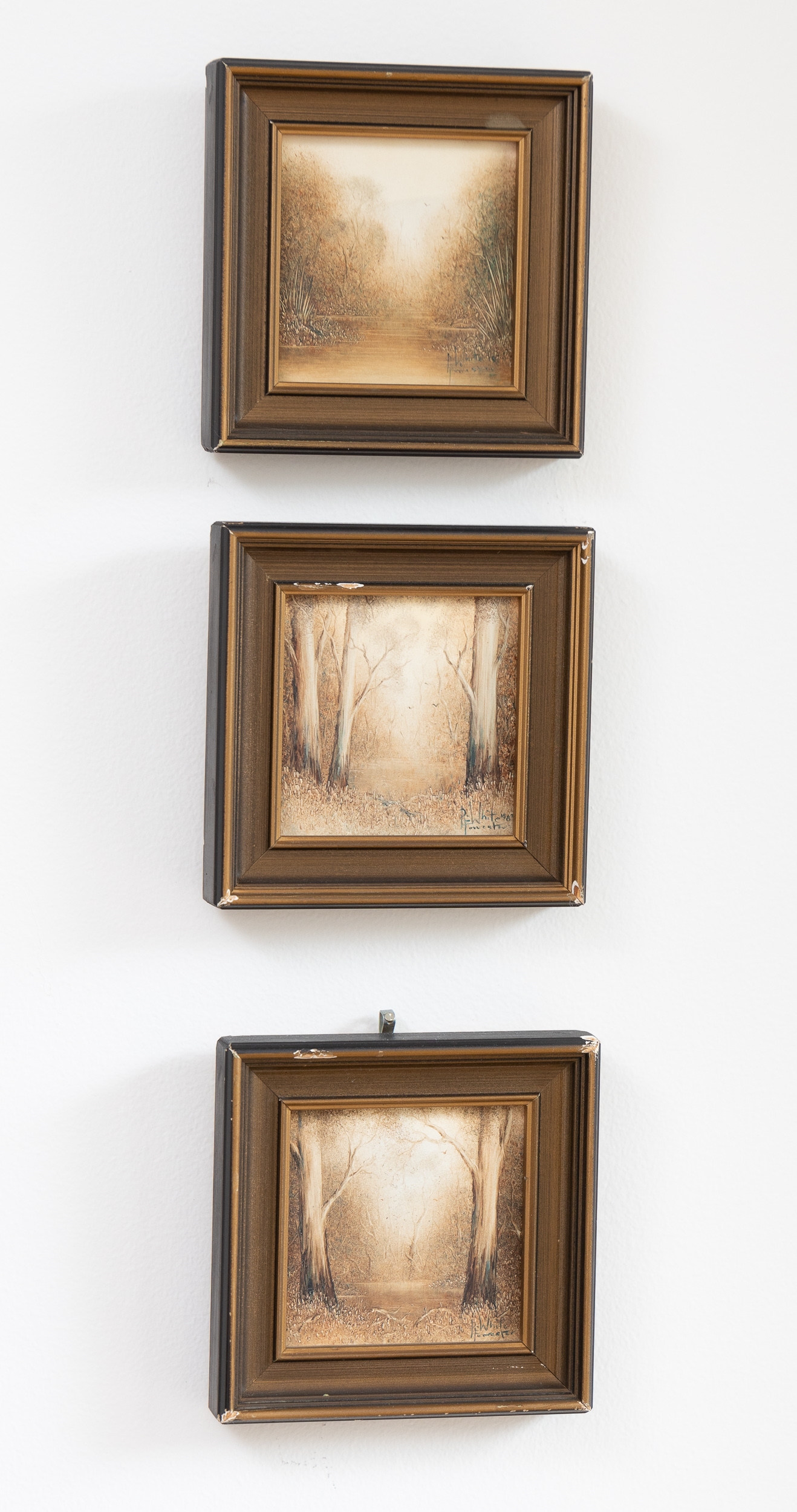 Peter Forrester White | 3 x landscapes | MutualArt