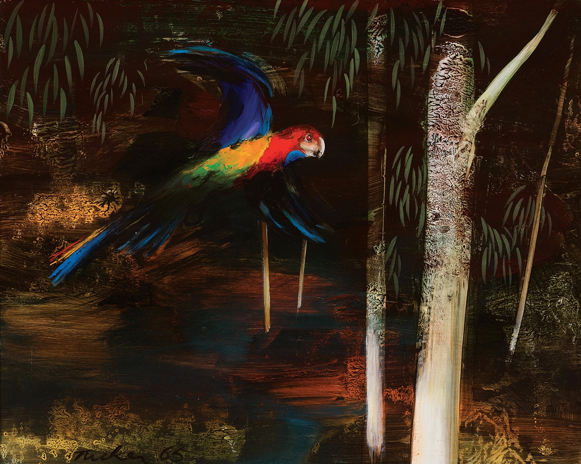 Albert Tucker | Parrot Flying (1965) | MutualArt
