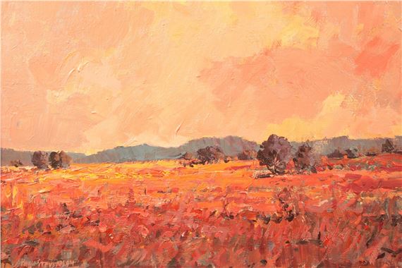 Hugh Stevenson | signed 'Red Sky over South African Landscape' 42cm x ...