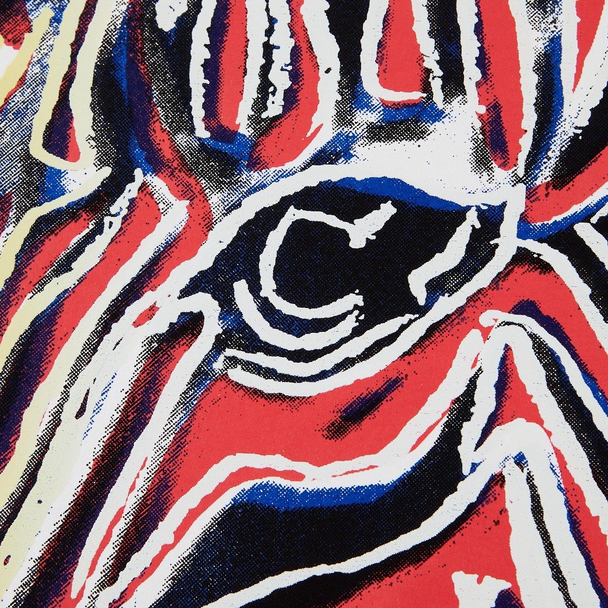 Andy Warhol | After Andy Warhol Zebra Endangered Species Print (1983 ...