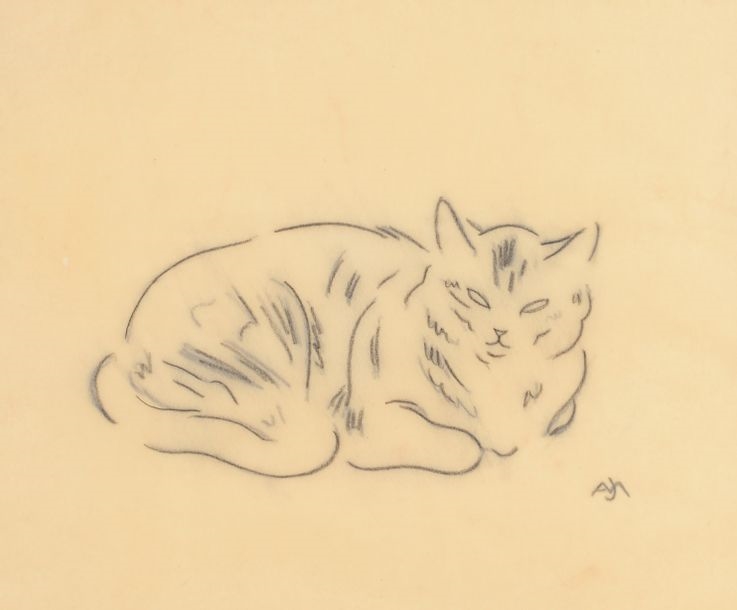 Pencil Laying On Paper