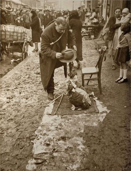 Robert Miquel | The one-legged man and his performing dogs (Circa 1935 ...