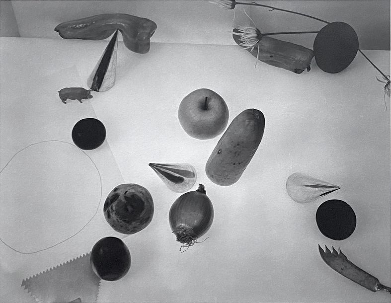 Jan Groover | Untitled, 1983 | MutualArt