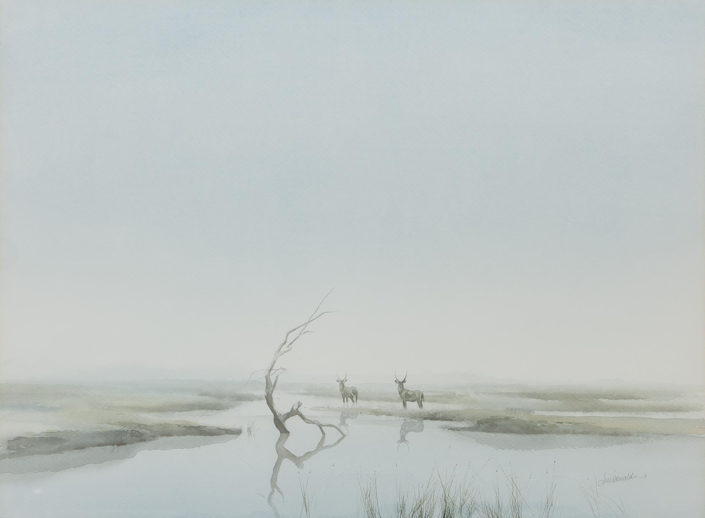 Kim Donaldson | SPRINGBOKS | MutualArt