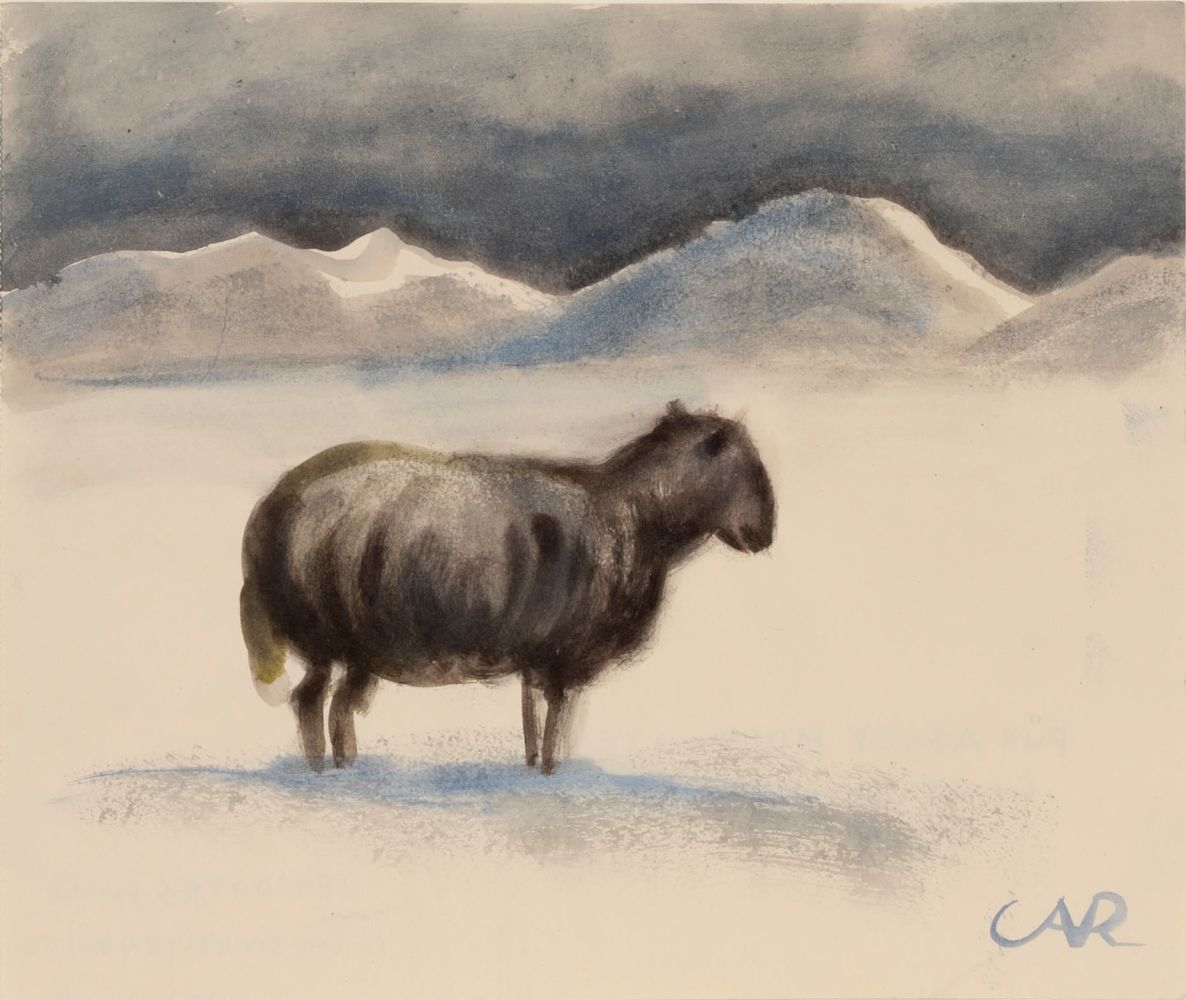 Anita Ree | Sheep in the Dunes | MutualArt