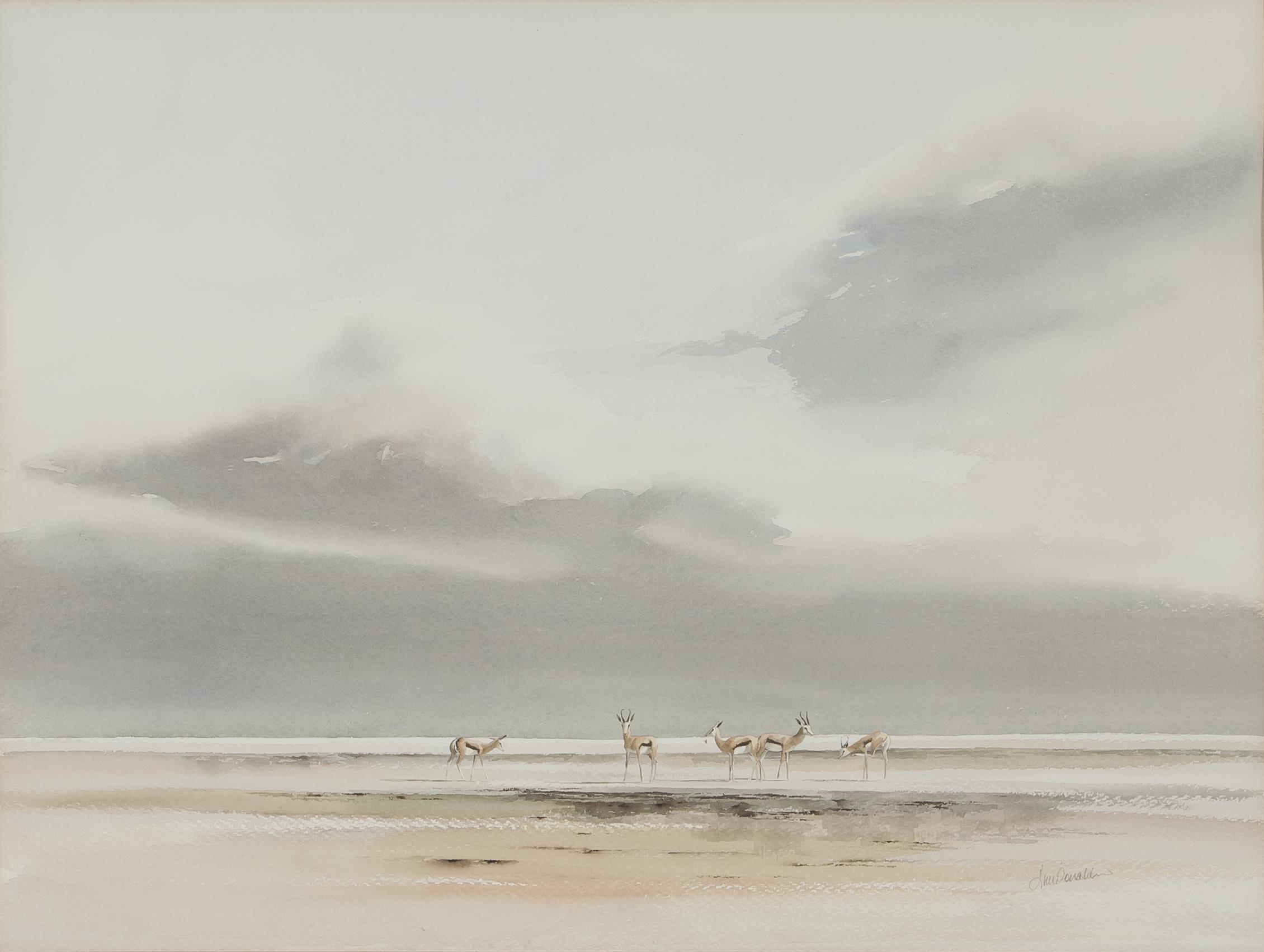 Kim Donaldson | SPRINGBOKS | MutualArt