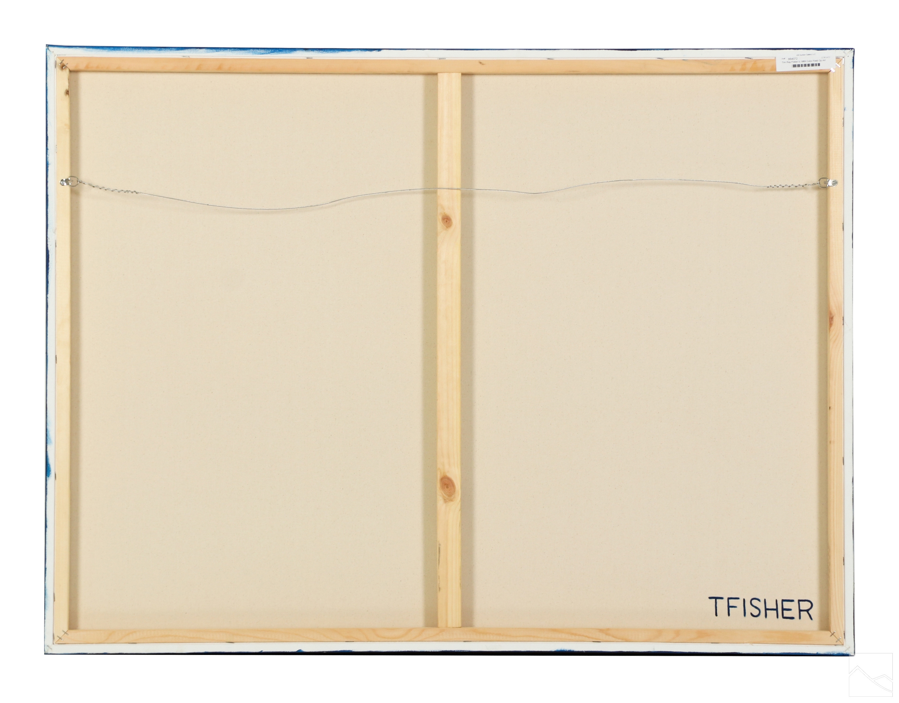 Tim Ray Fisher | Tim Ray Fisher b.1969 Color Field Op Art Painting ...