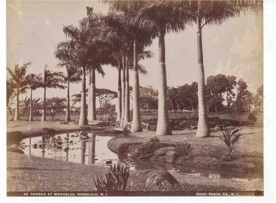 Frank Davey | 1 Artworks at Auction | MutualArt