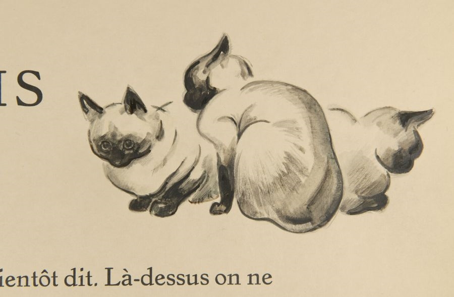 Jacques Nam | Chats de Jacques Nam présentés par Colette (1881) | MutualArt