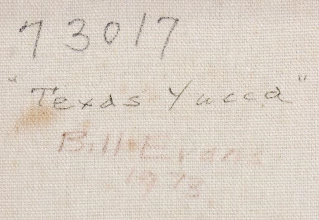 Bill Evans | Texas Yucca (1973) | MutualArt