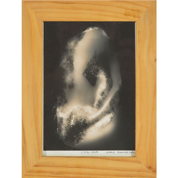 Gary Schneider | EAR, 1997 (1997) | MutualArt