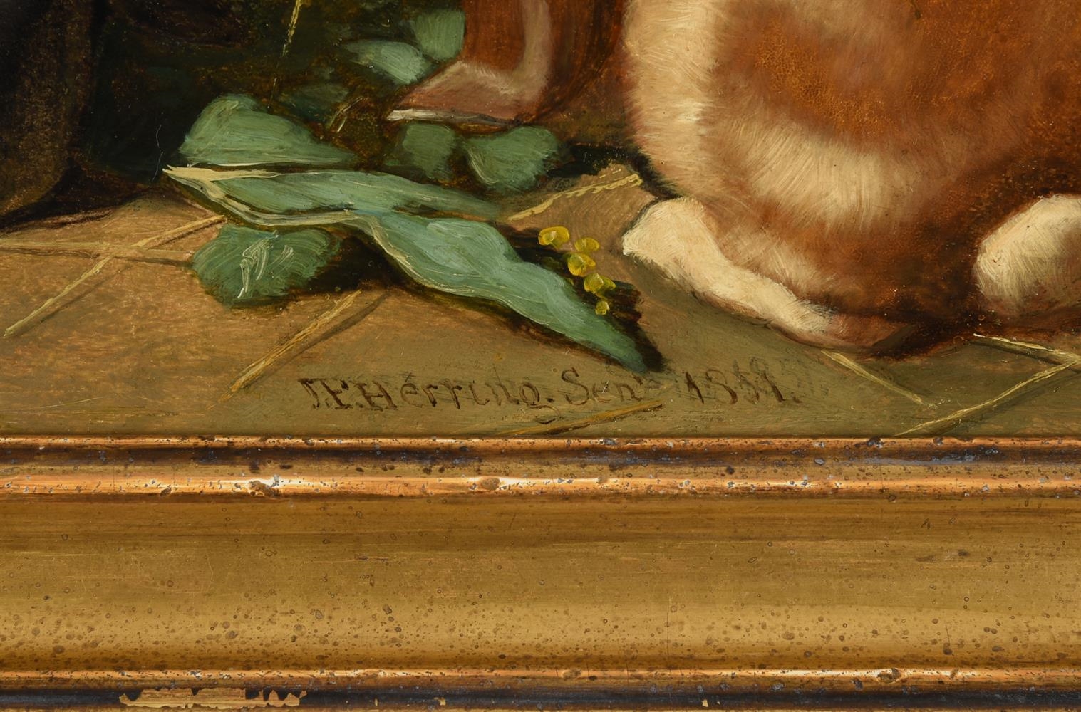 John Frederick Herring Sr. | A FAMILY OF RABBITS (1851) | MutualArt