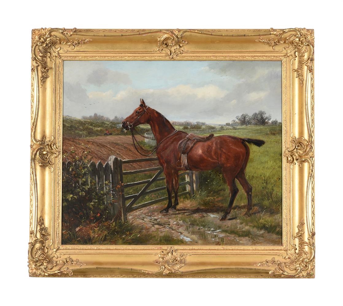 John Alfred Wheeler | A SADDLED BAY HUNTER BY A FENCE | MutualArt
