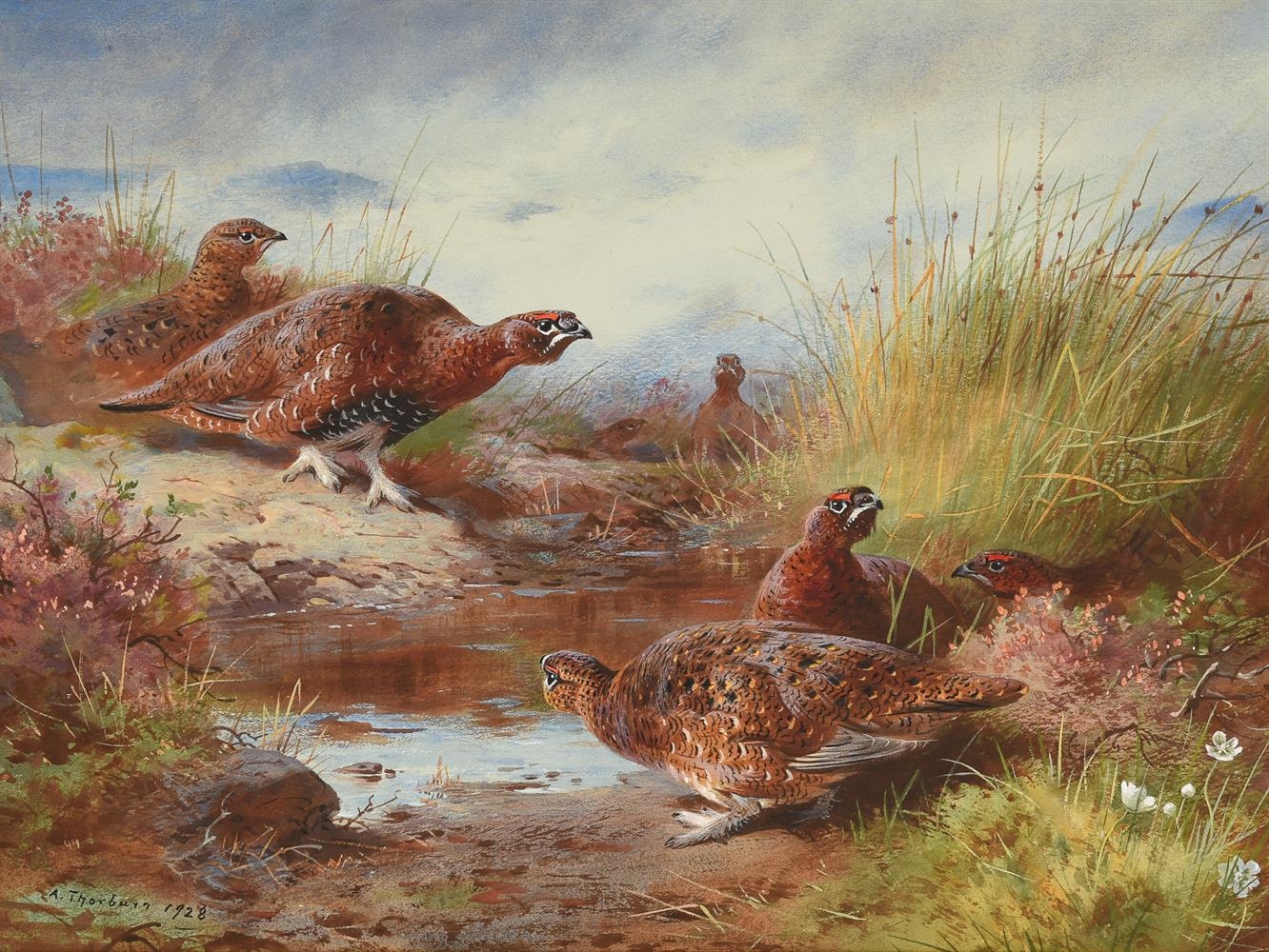 Archibald Thorburn | RED GROUSE (1928) | MutualArt