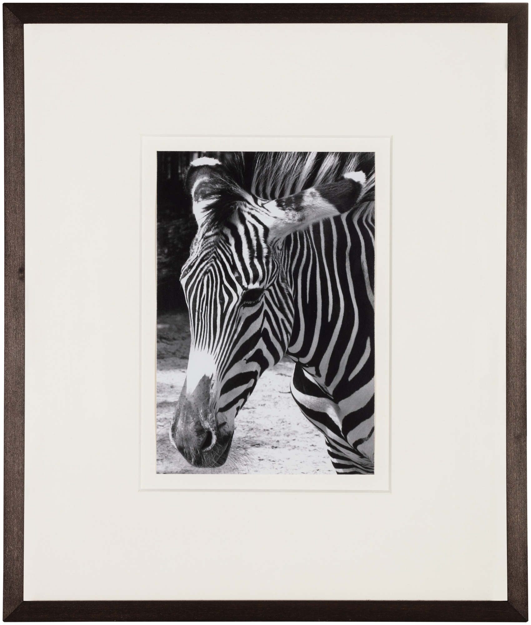 Dan Rees | Black and White Things in Black and White (2006) | MutualArt