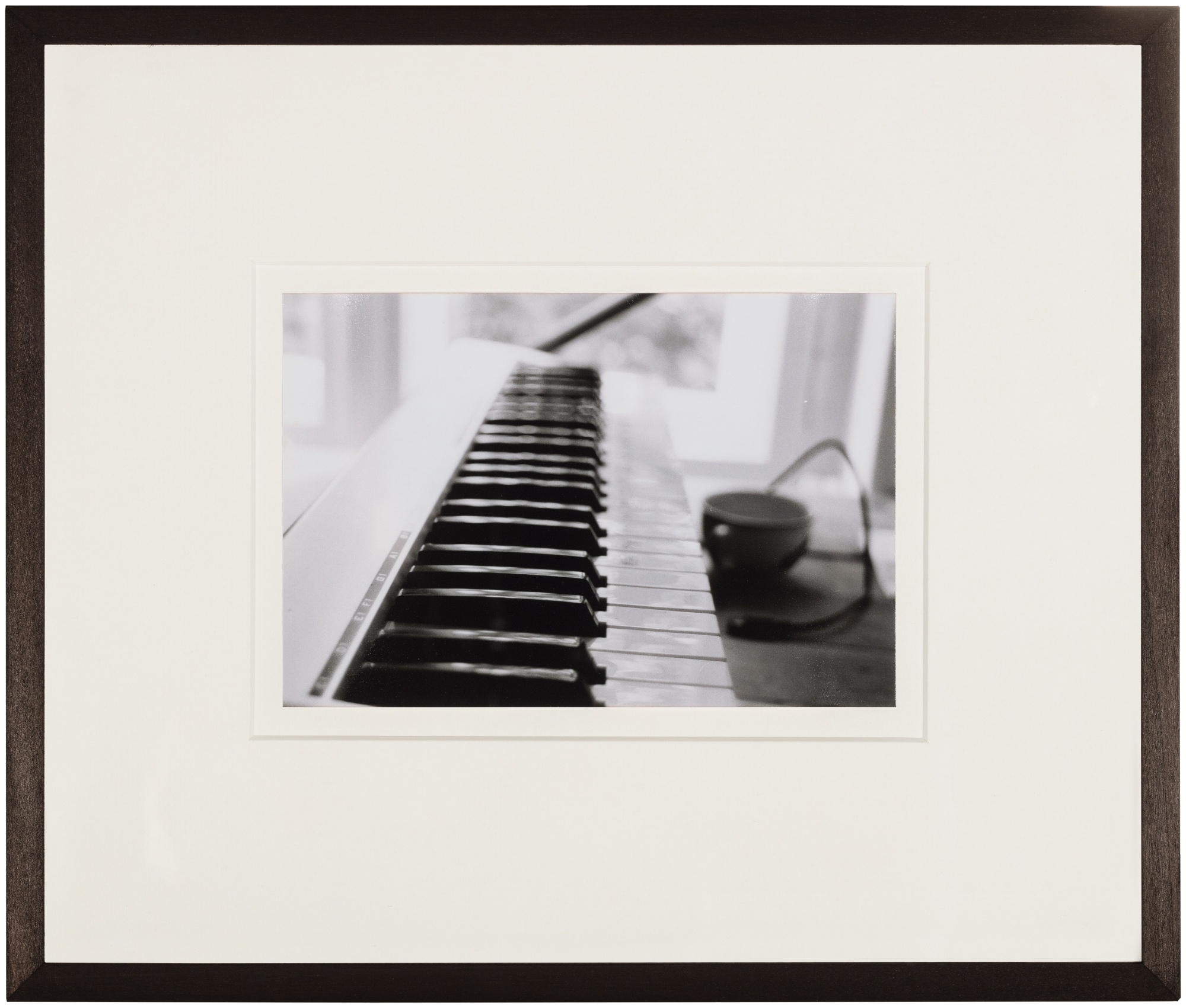 Dan Rees | Black and White Things in Black and White (2006) | MutualArt