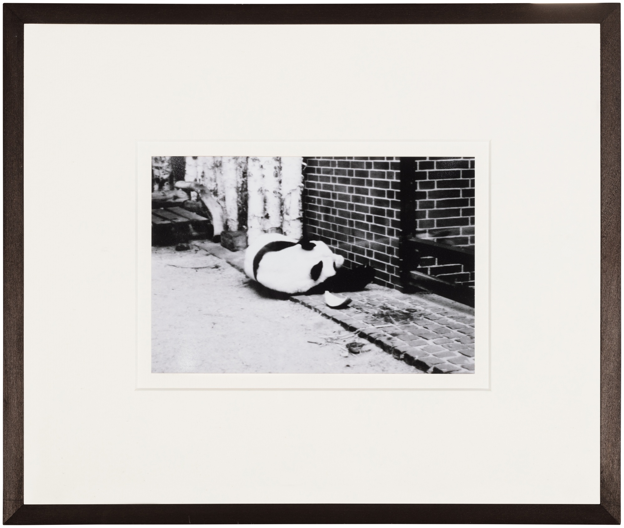 Dan Rees | Black and White Things in Black and White (2006) | MutualArt