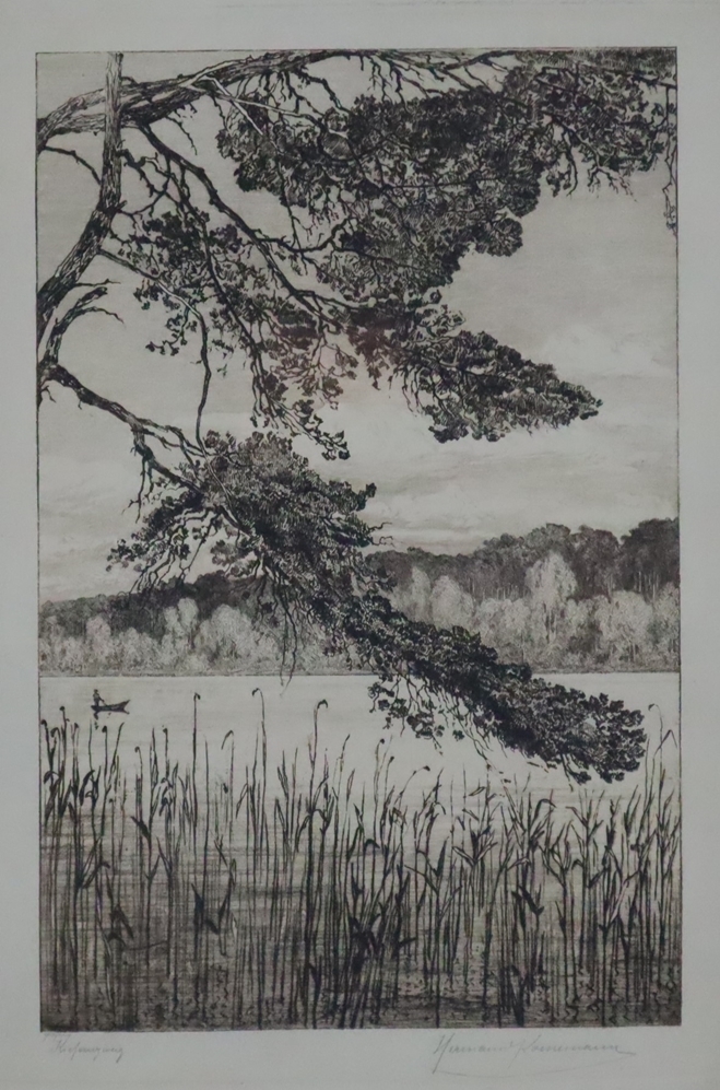 Hermann Koenemann | „Kiefern | MutualArt