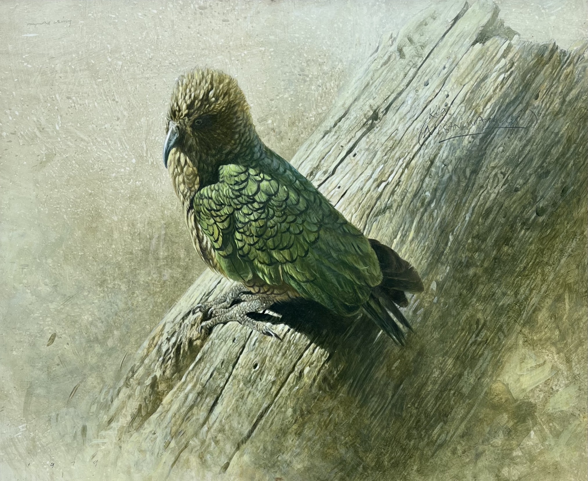 Raymond Harris Ching | Sulphur Crested Cockatoo | MutualArt