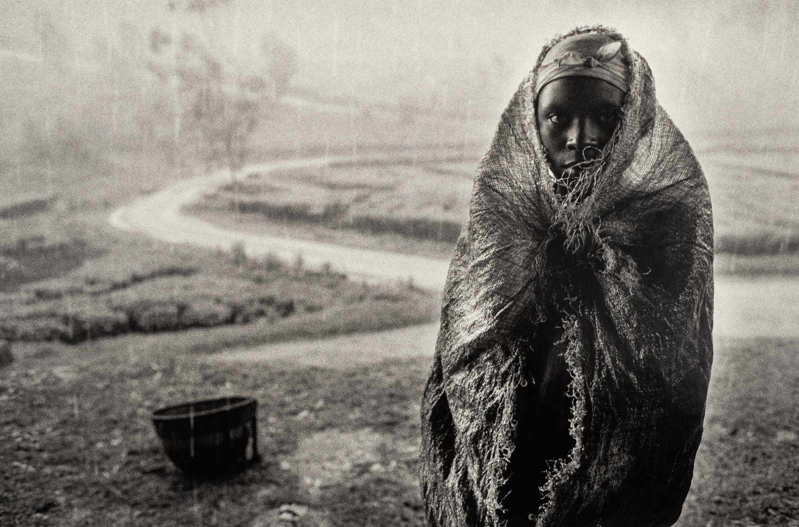 Sebastião Salgado | Sebastião Salgado (born 1944) Mata tea plantation ...