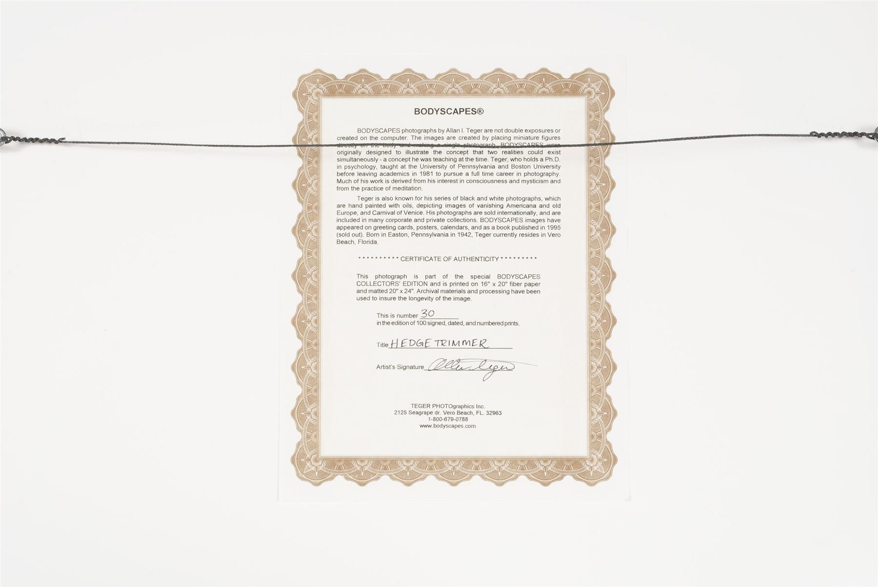 Allan I. Teger | Bodyscapes | MutualArt