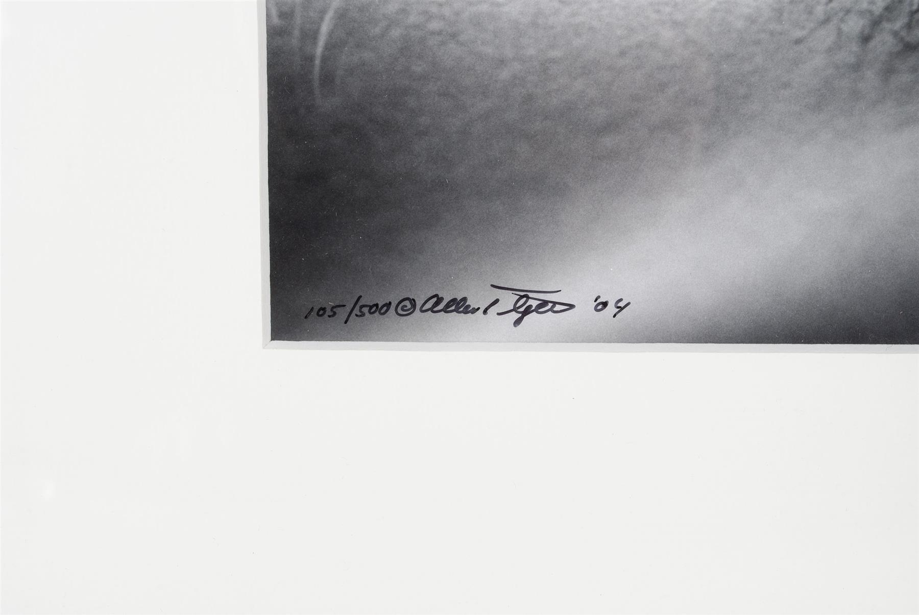 Allan I. Teger | Bodyscapes | MutualArt