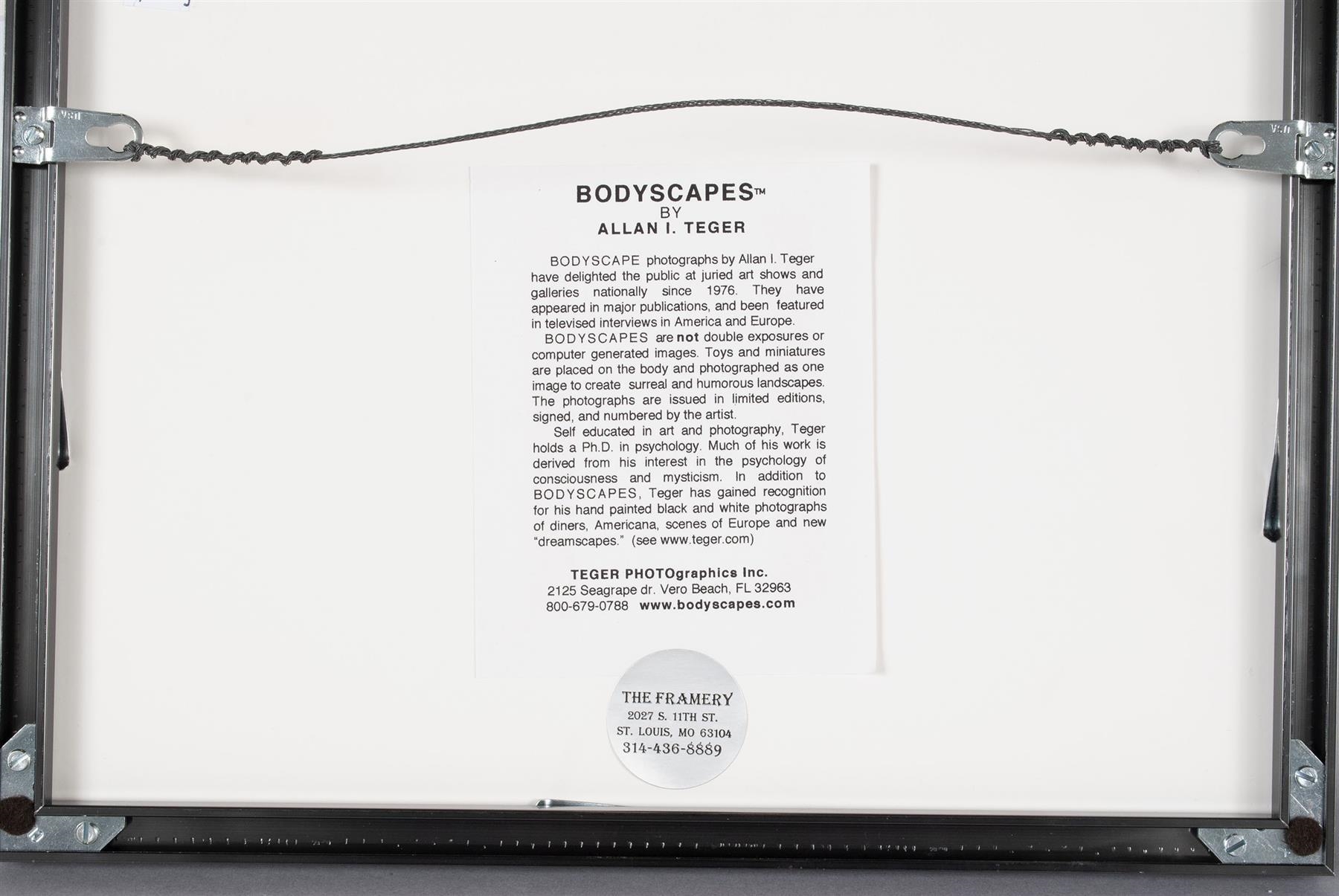 Allan I. Teger | Bodyscapes | MutualArt