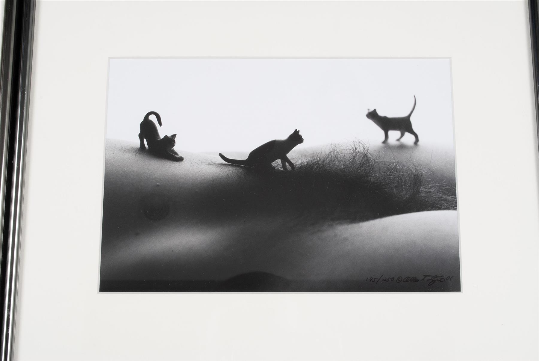 Allan I. Teger | Bodyscapes | MutualArt