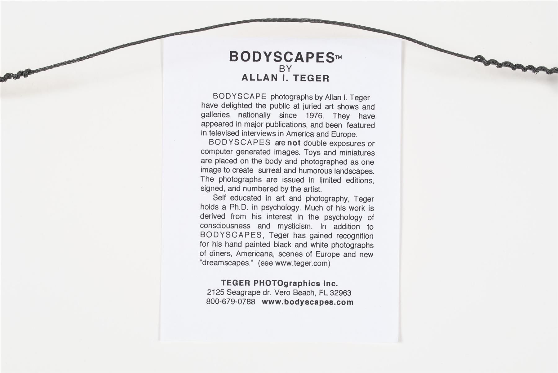 Allan I. Teger | Bodyscapes | MutualArt