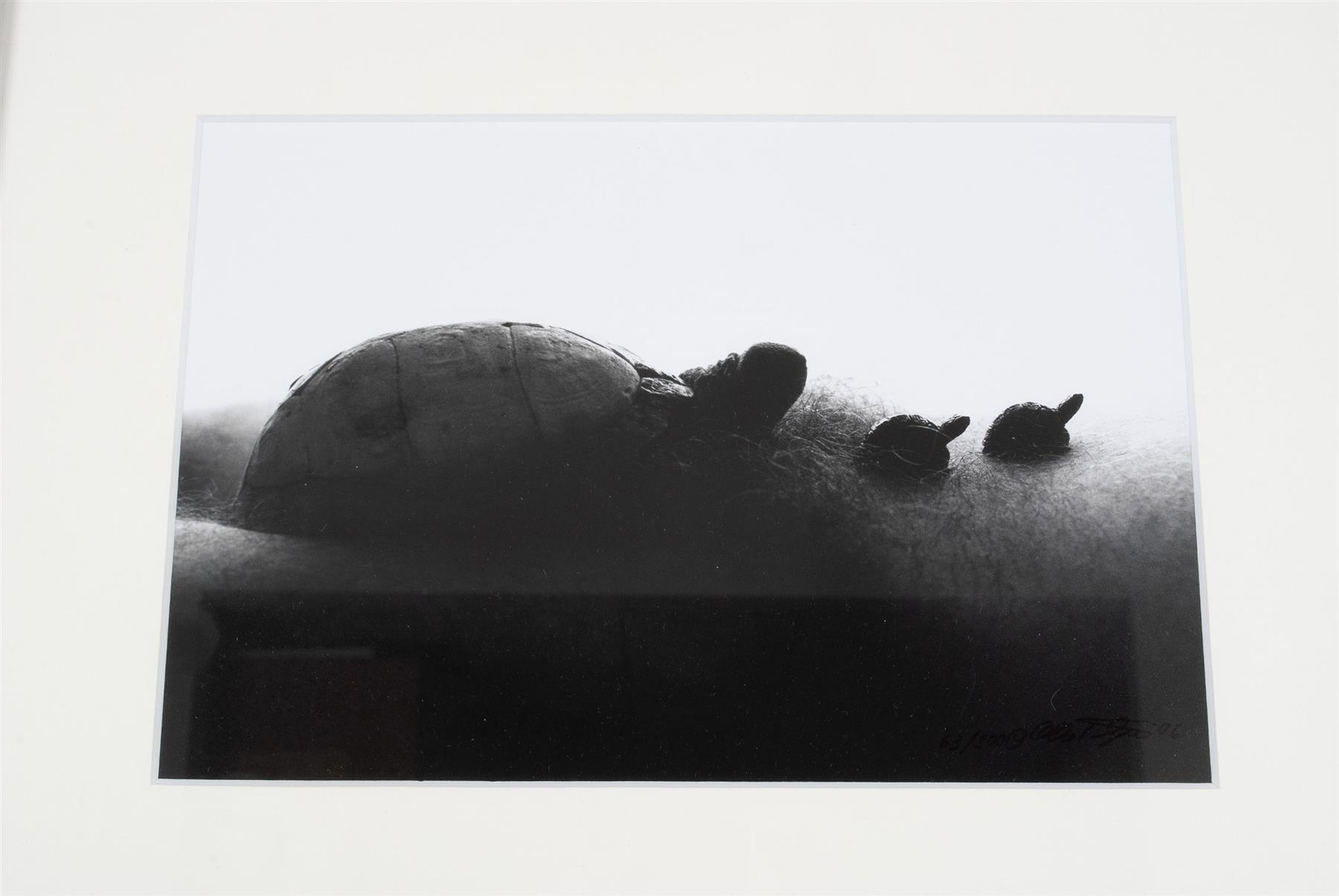 Allan I. Teger | Bodyscapes | MutualArt