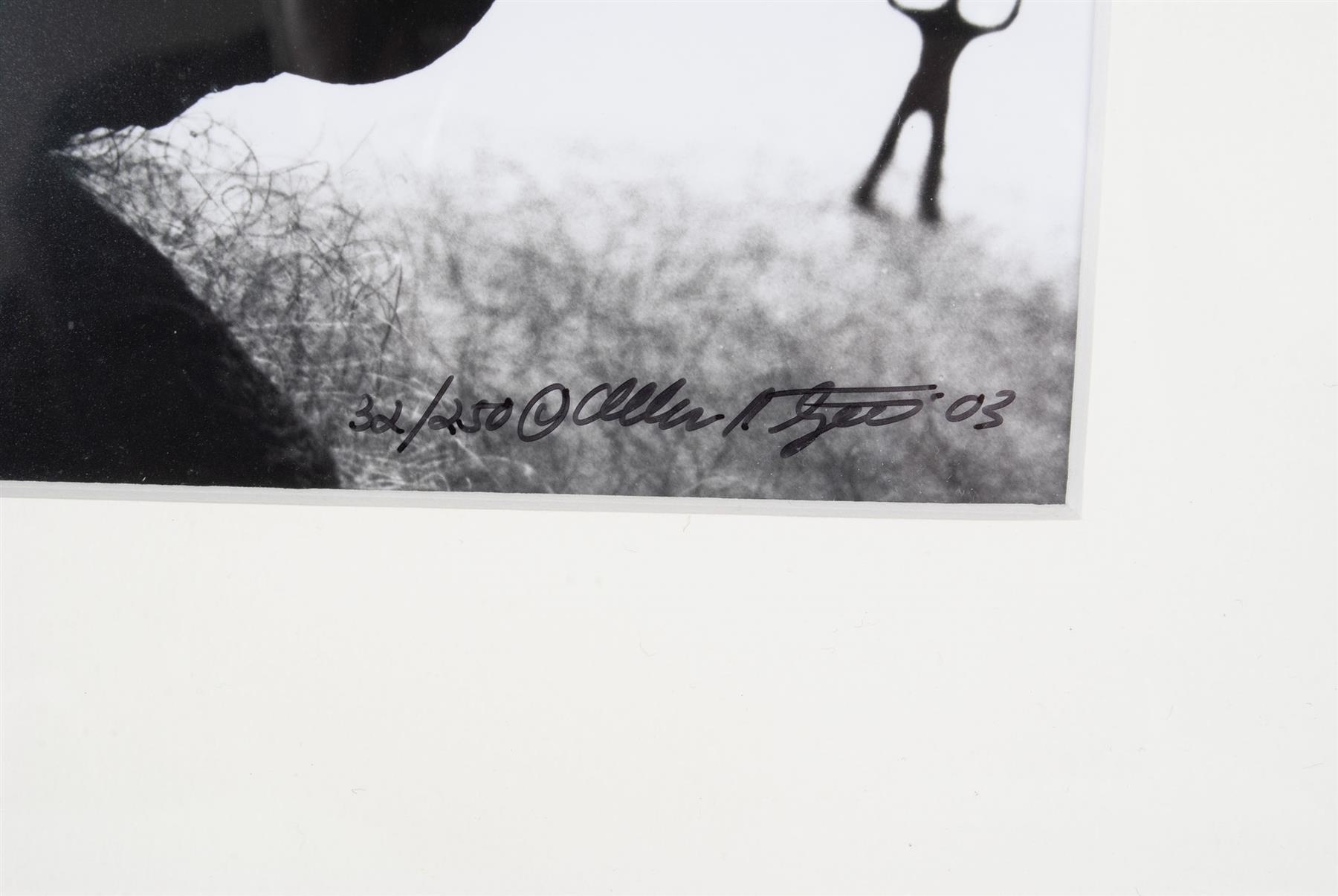 Allan I. Teger | Bodyscapes | MutualArt