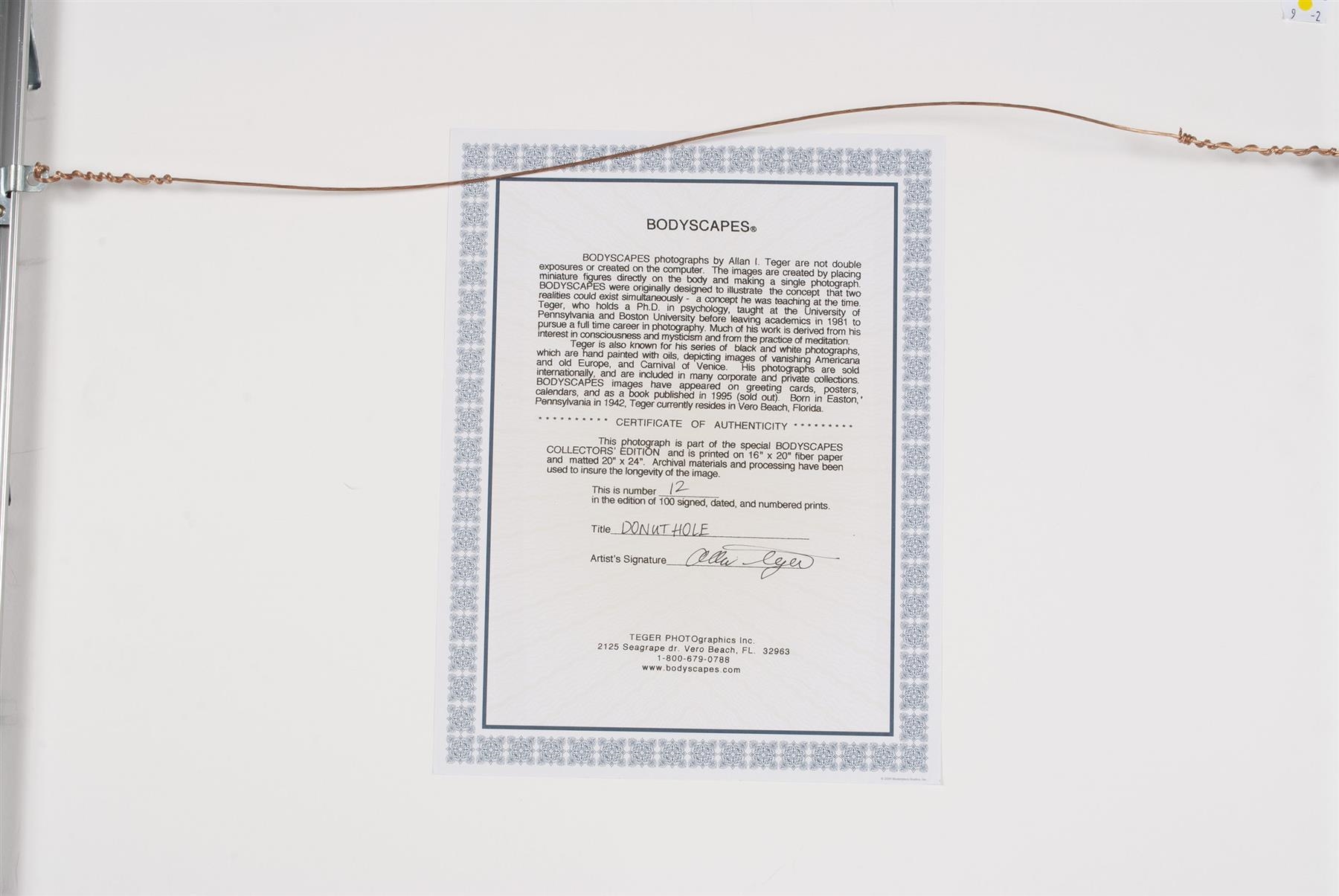 Allan I. Teger | Bodyscapes | MutualArt