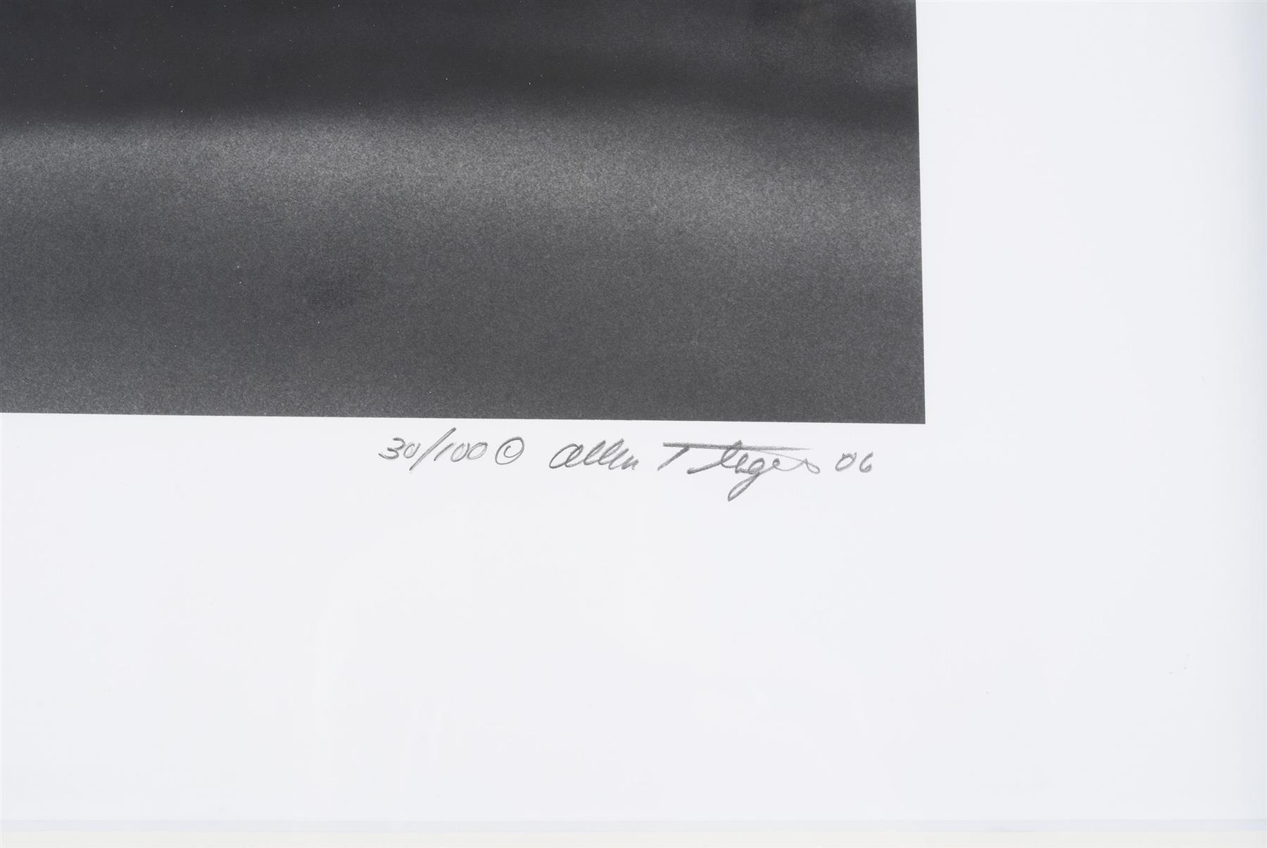 Allan I. Teger | Bodyscapes | MutualArt