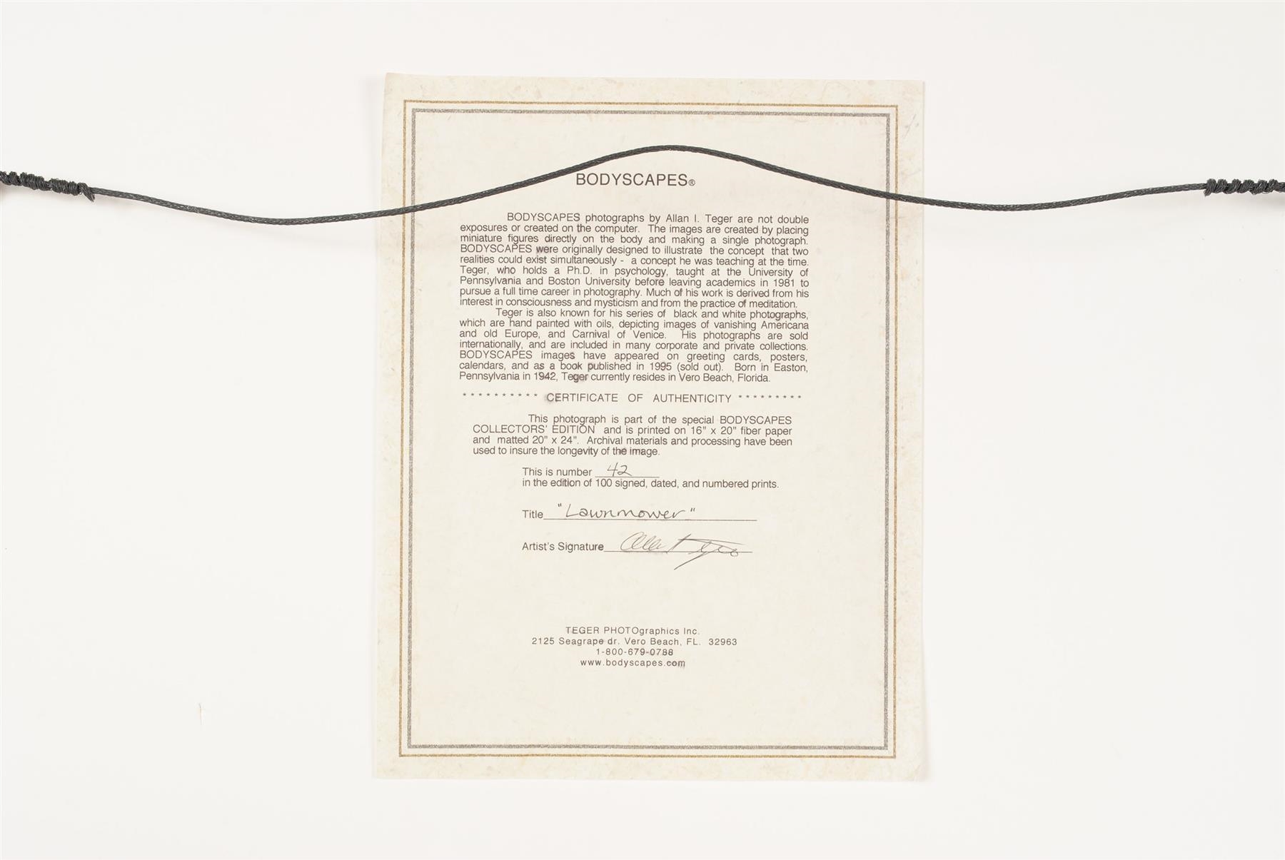 Allan I. Teger | Bodyscapes | MutualArt