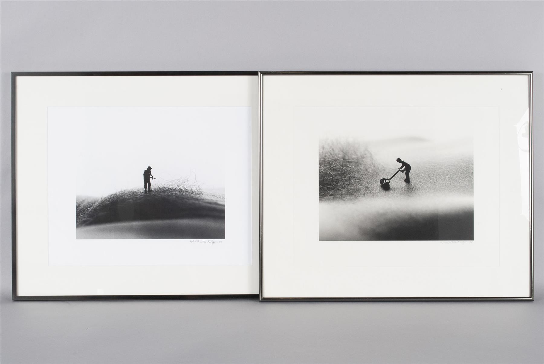 Allan I. Teger | Bodyscapes | MutualArt